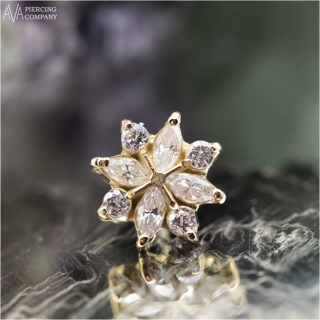 Pricing – AVA Piercing Company