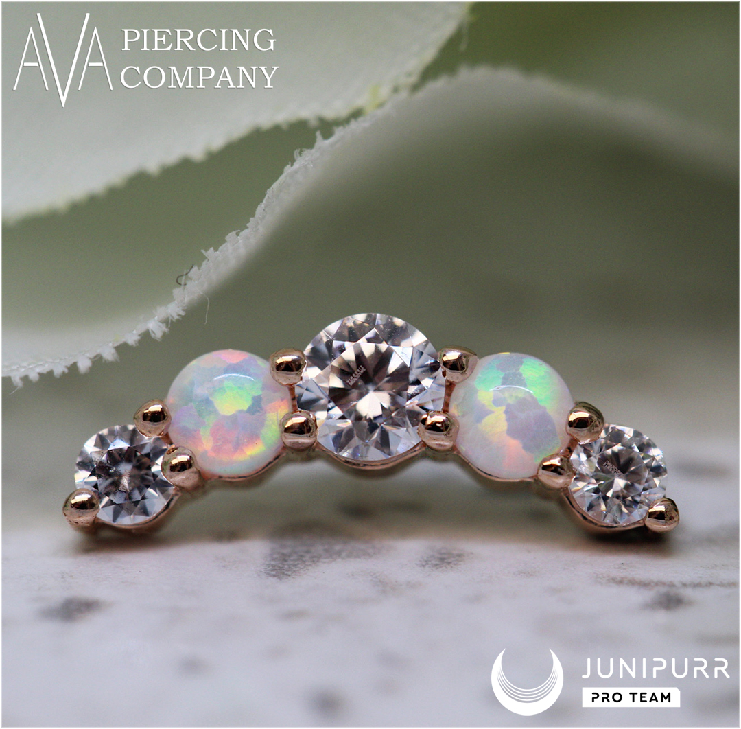 Pricing – AVA Piercing Company