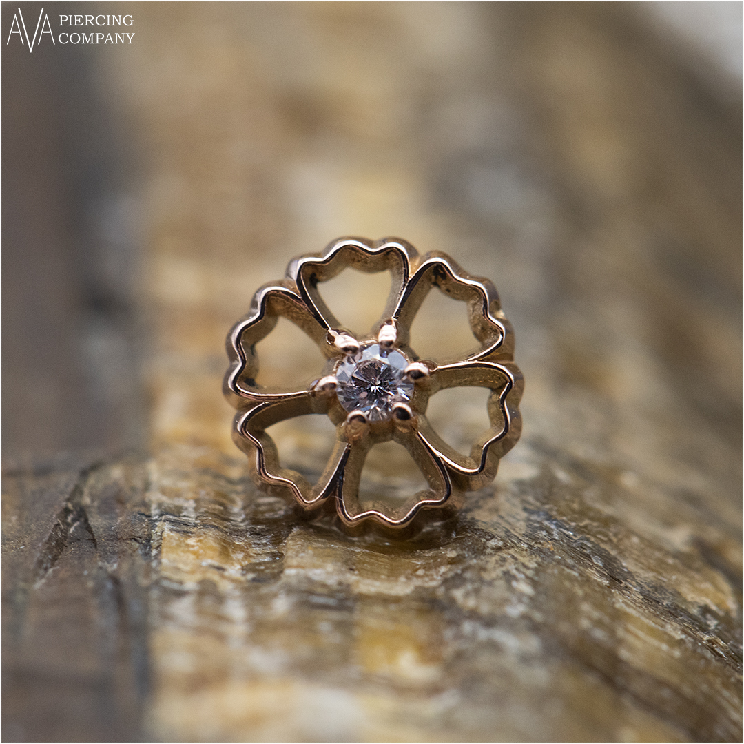 Pricing – AVA Piercing Company